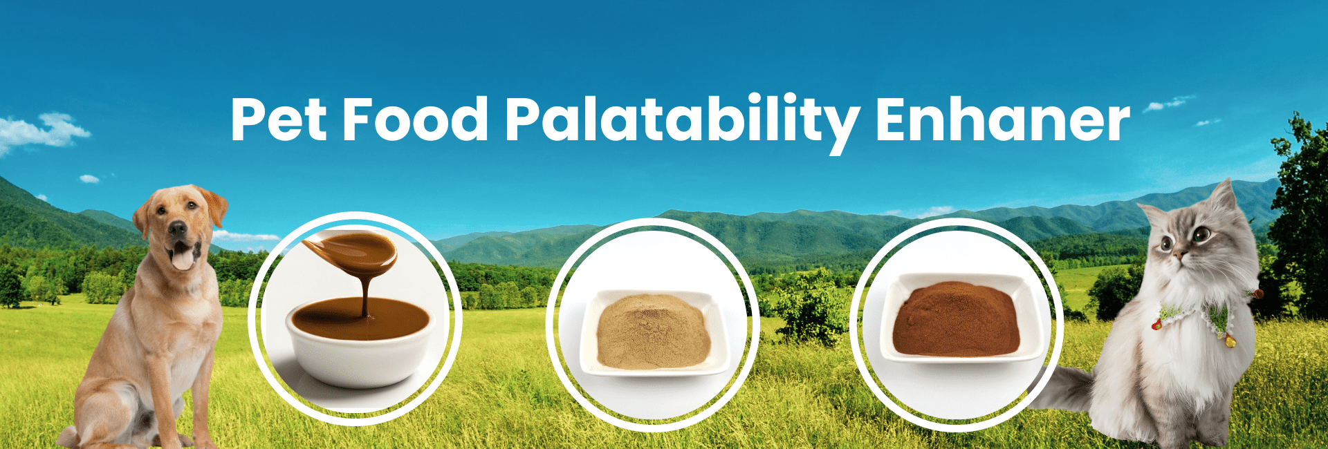 profypet – PET SEASONING