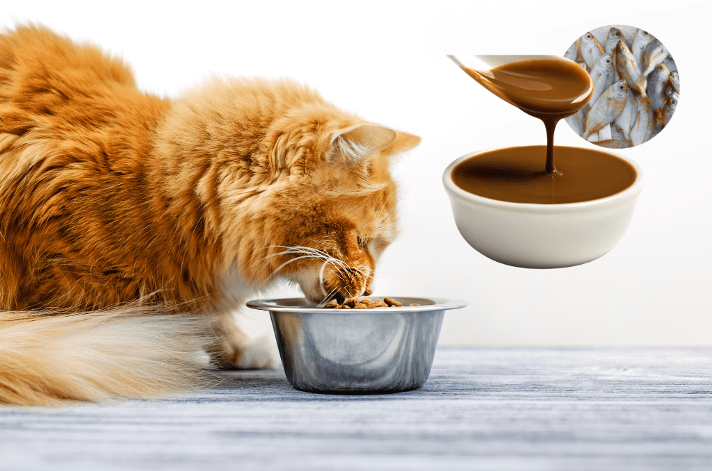 Cat food palatability enhancers - Pet Food Palatant