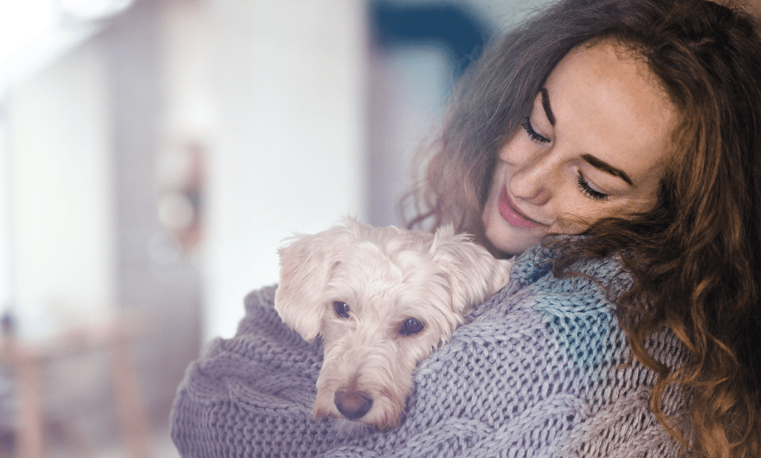 Research progress on pet food palatability assessment methods - Pet ...