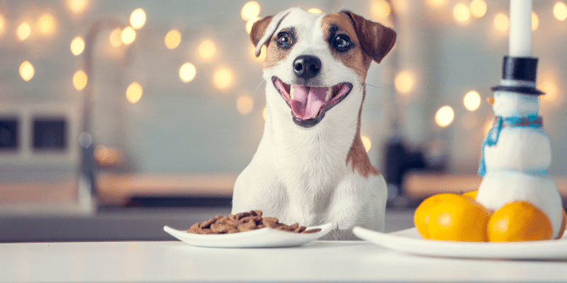 Products - Profypet Pet Food Palatant