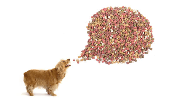 The Science Behind Palatability of Delicious Pet Food - Pet Food Palatant