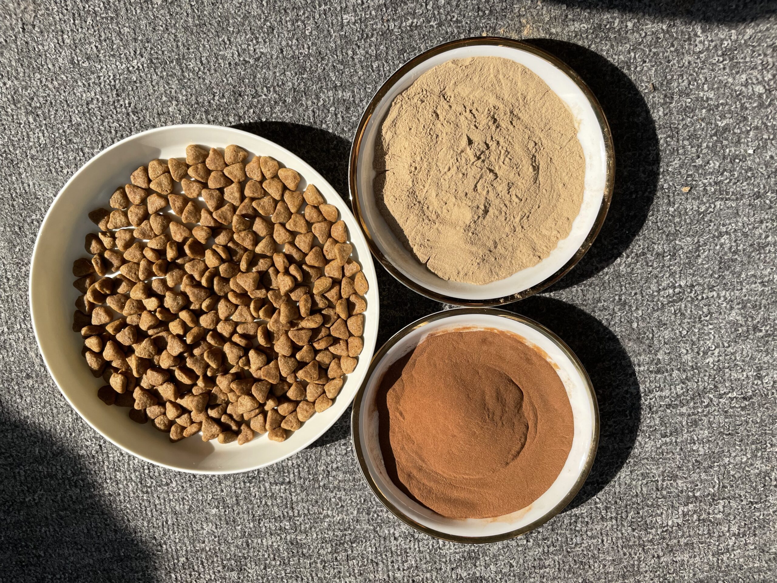 Boosting Pet Food Palatability: The Power of Pet Food Palatability ...