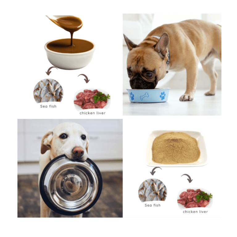 Exploring the Benefits of Pet Food Additives - Pet Food Palatant