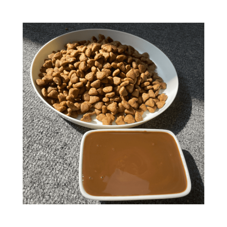 Everything You Need to Know About Pet Food - Pet Food Palatant
