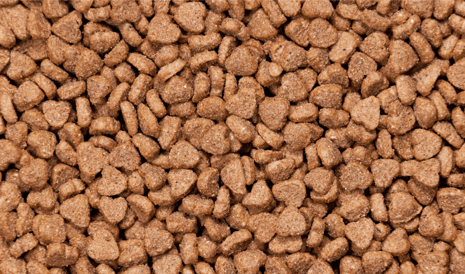 Profypet Pet Food Palatant