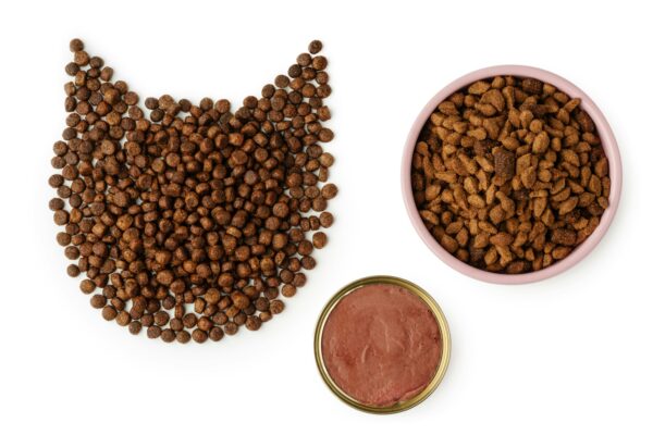 How Cat Food is Produced: A Detailed Insight for Pet Food Manufacturers ...