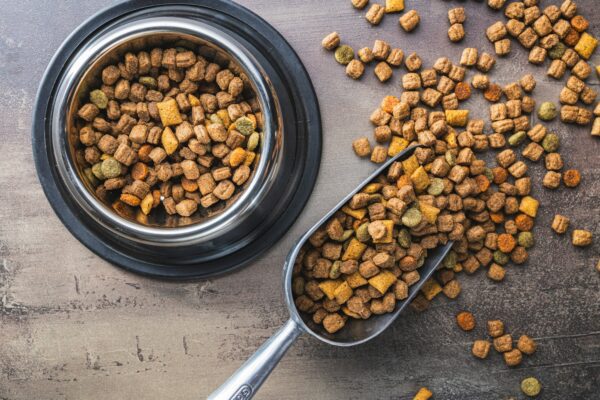 How Cat Food is Produced: A Detailed Insight for Pet Food Manufacturers ...