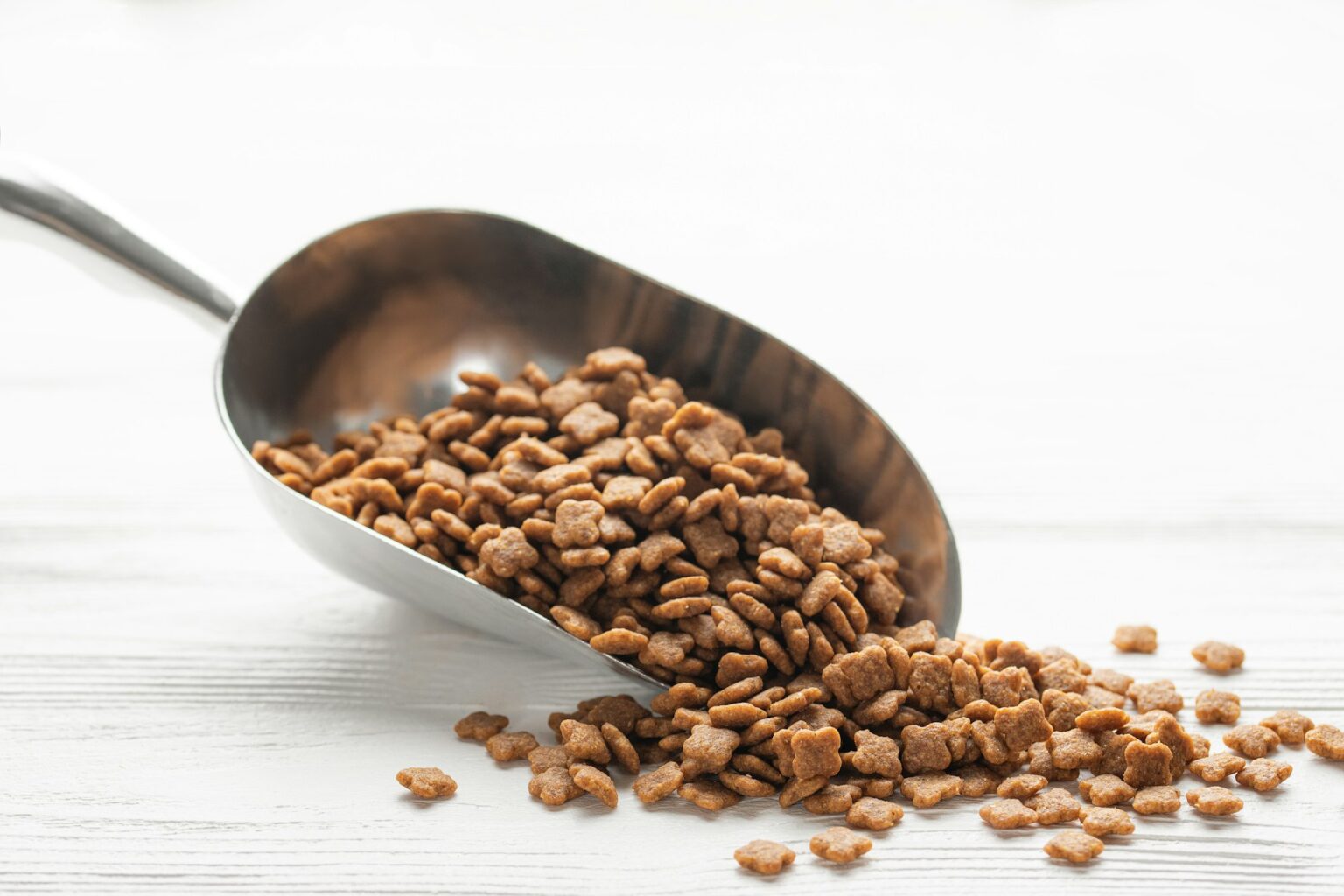 The Ultimate Guide: How to Manufacture Dog Treats - Pet Food Palatant