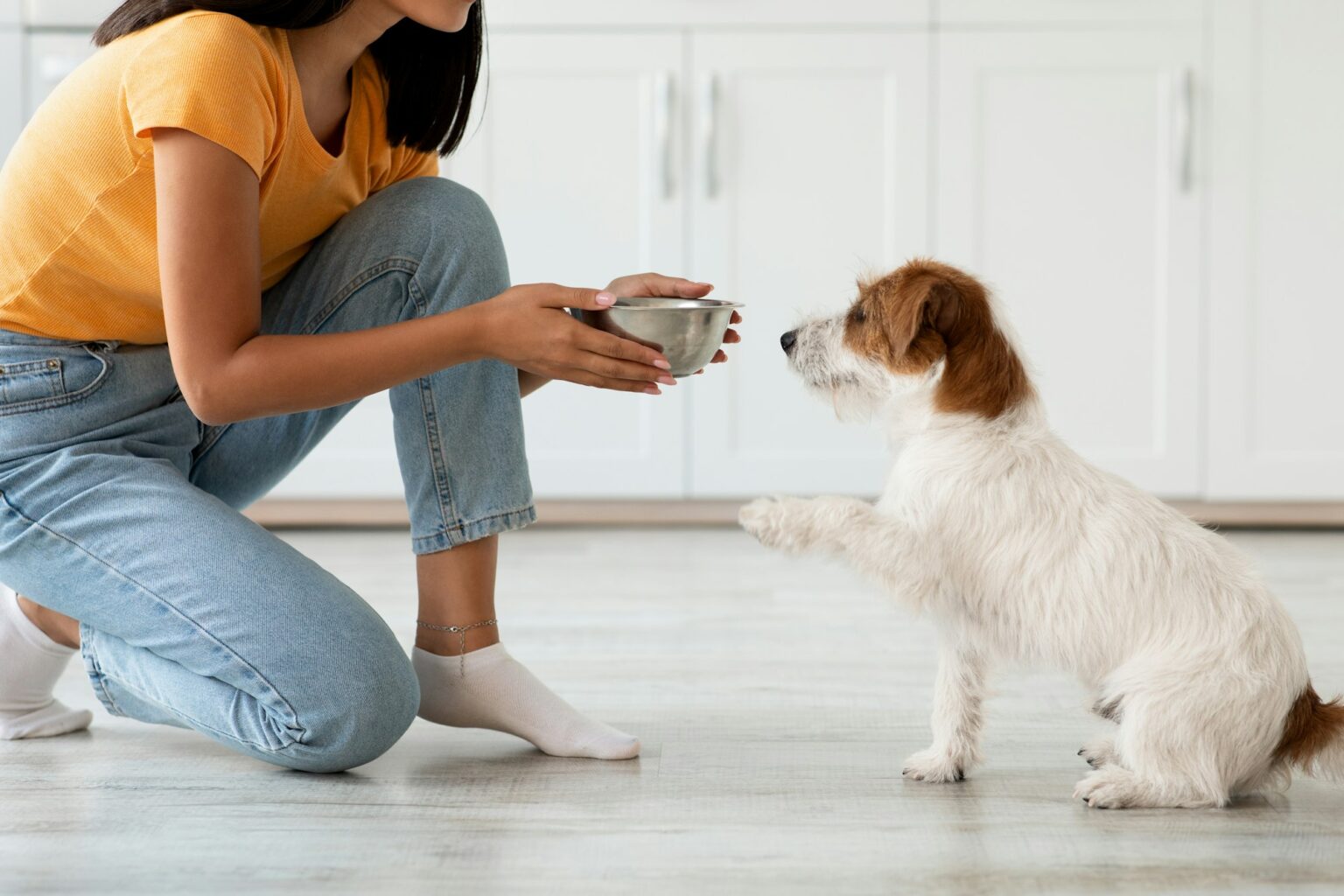 Understanding Pet Food Palatability: A Deep Dive into Research and ...