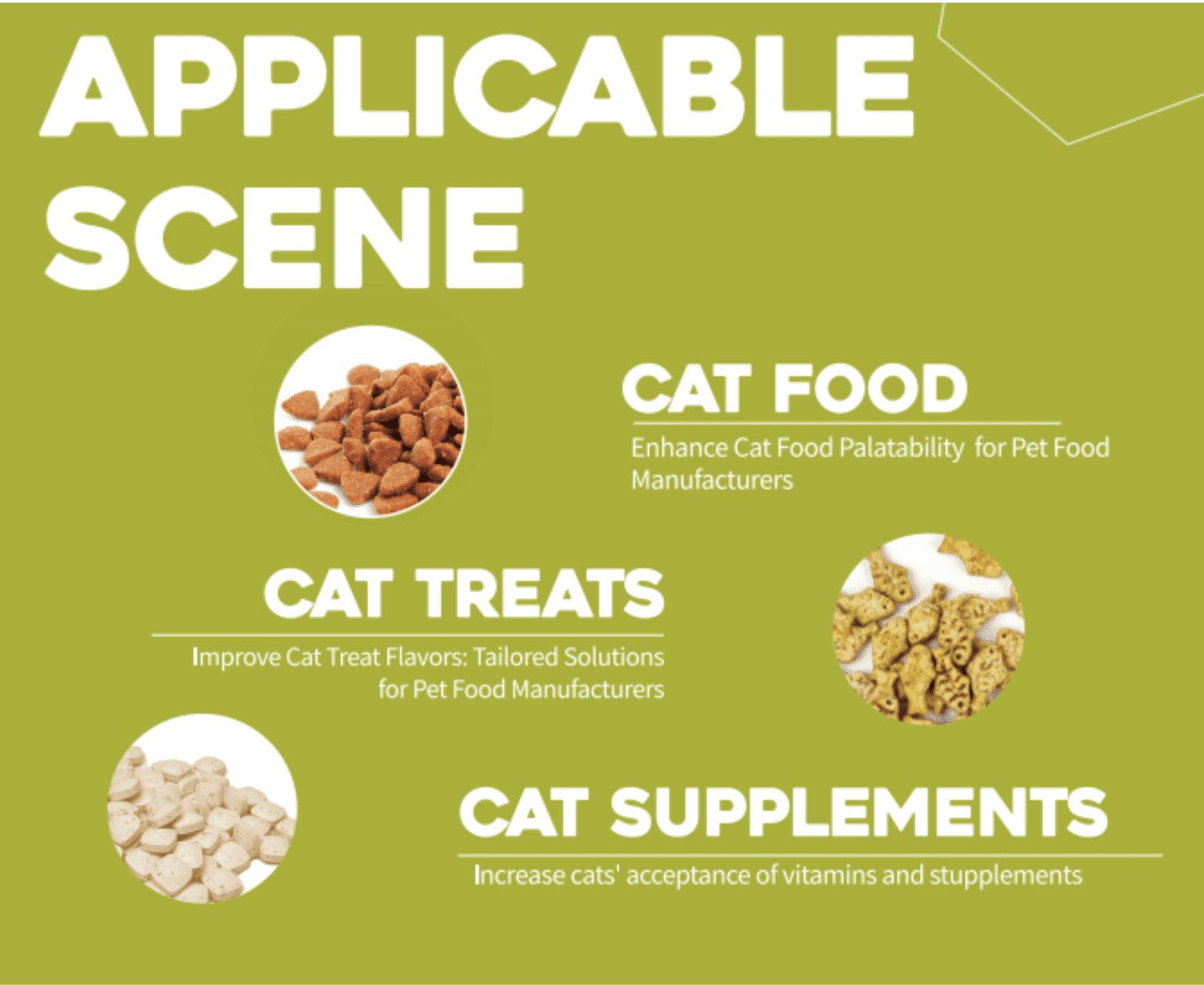 How Pet Food Palatants Can Help You Succeed in the Competitive Pet ...