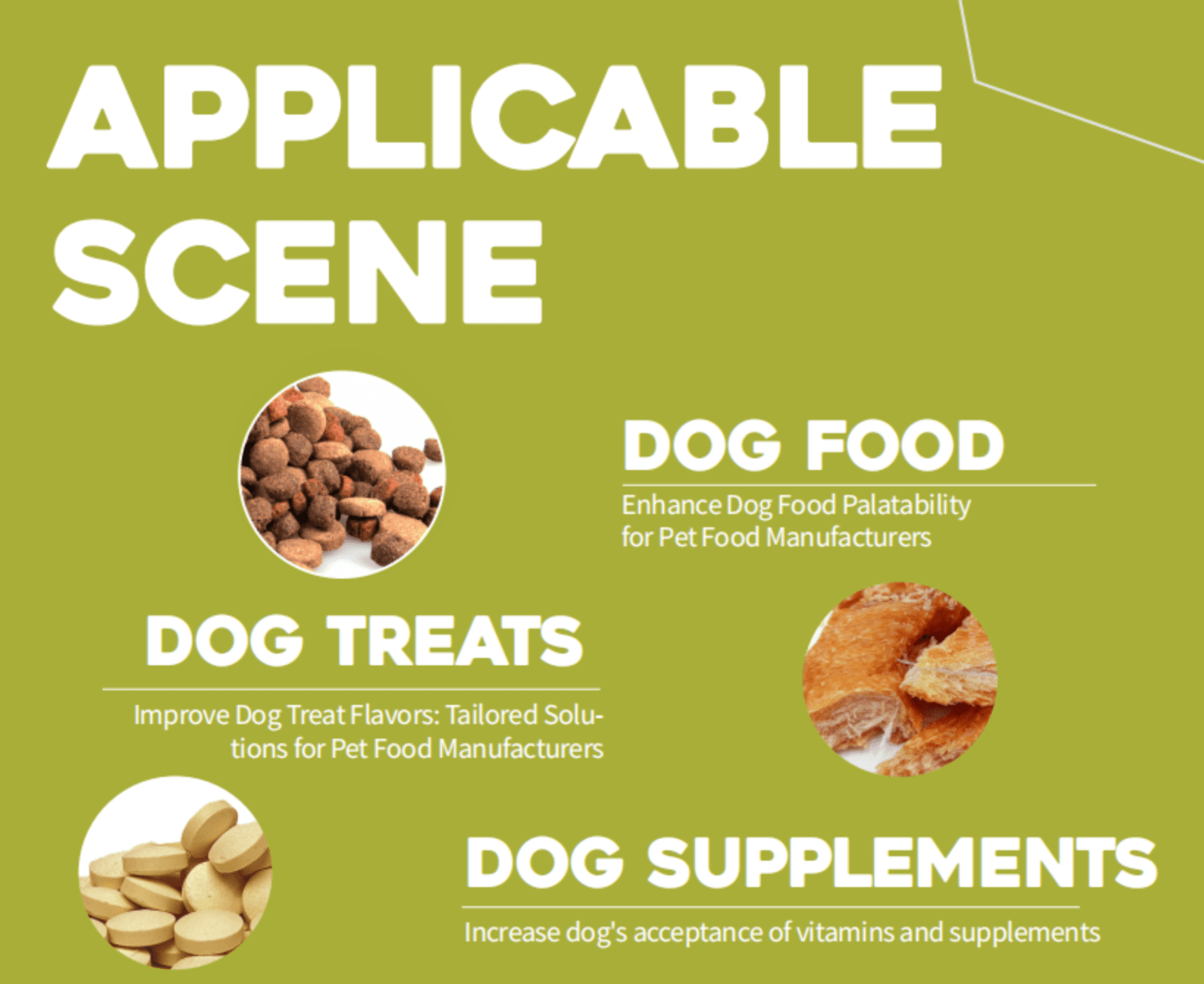 What Are Palatants in Cat Food? A Deep Dive into Pet Food Palatability ...