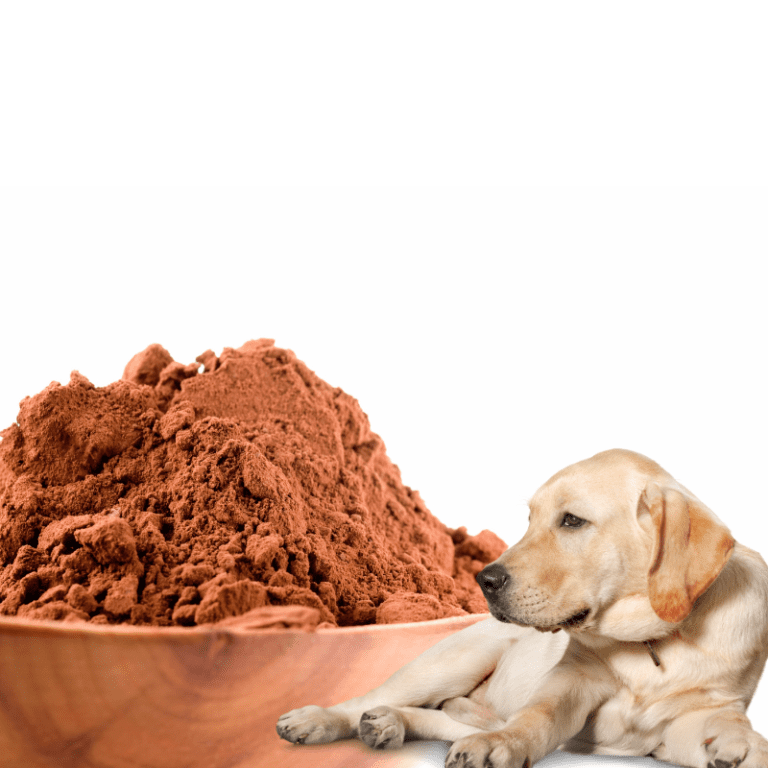 Understanding Palatants: The Science Behind Flavor in Pet Food - Pet ...