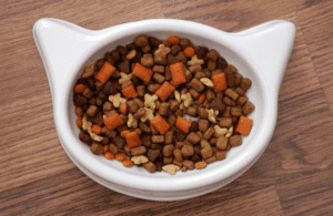 What Is the Best Shape of Kibble for Cats? - Pet Food Palatant