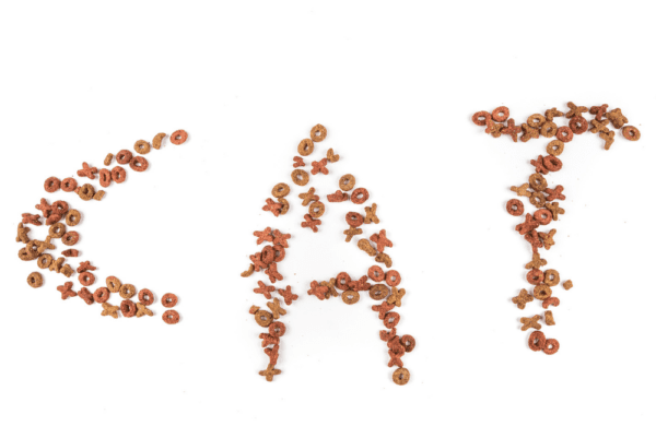 What Is the Best Shape of Kibble for Cats? - Pet Food Palatant