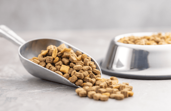 What Is the Best Shape of Kibble for Cats? - Pet Food Palatant