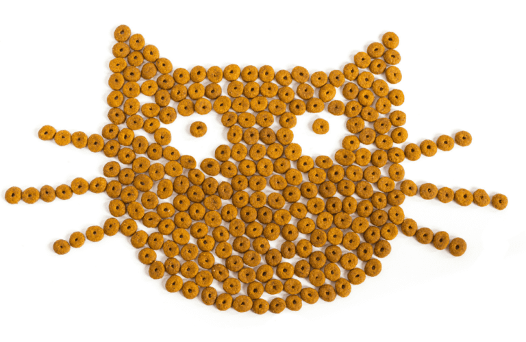 What Is the Best Shape of Kibble for Cats? - Pet Food Palatant