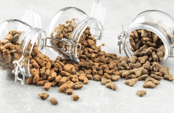 What Is the Best Shape of Kibble for Cats? - Pet Food Palatant