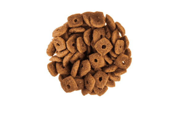 What Is the Best Shape of Kibble for Cats? - Pet Food Palatant