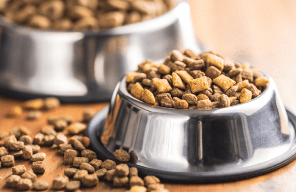 What Is the Best Shape of Kibble for Cats? - Pet Food Palatant