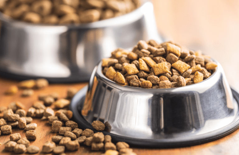 What Is the Best Shape of Kibble for Cats? - Pet Food Palatant